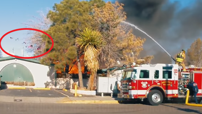 Caught on video: Bystanders rescue driver & victims after Hummer rams ...